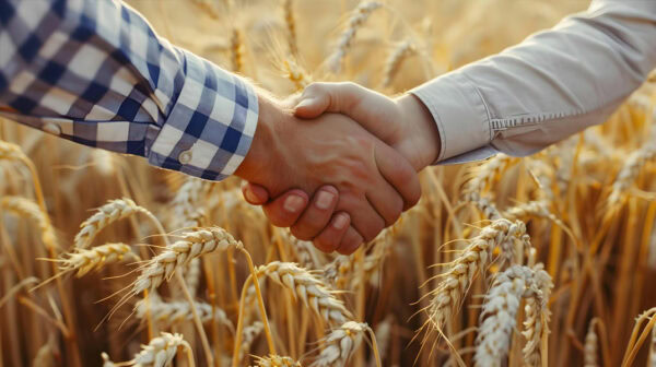 About Mutual Insurance - NAMIC